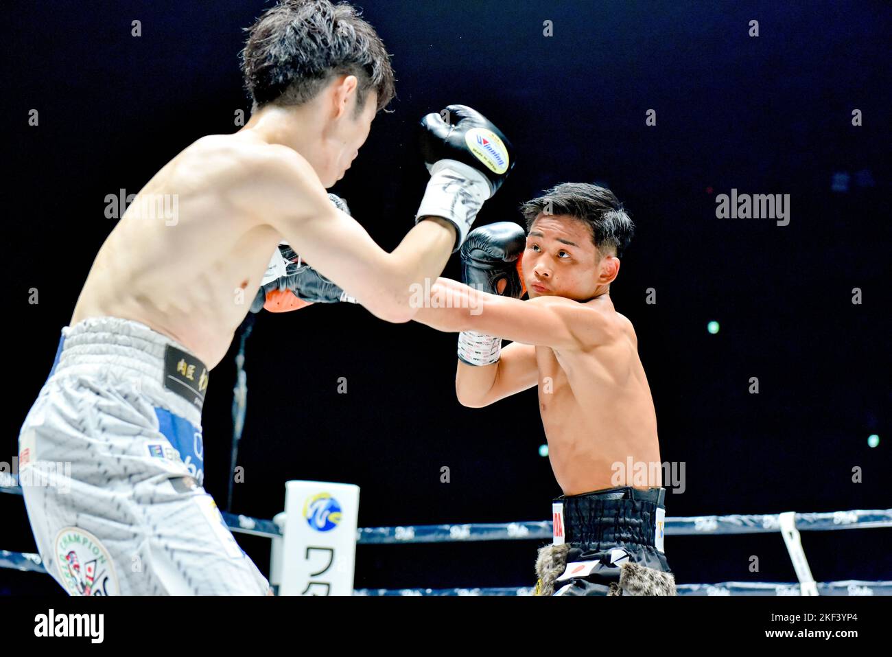 WBC light flyweight champion Kenshiro Teraji (white trunks) and WBA ...