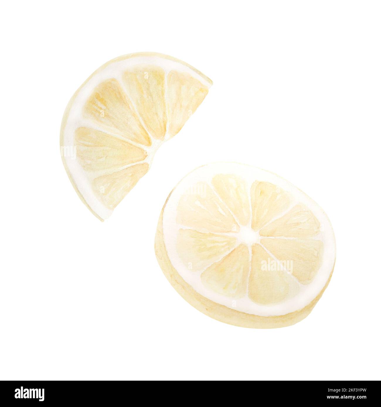 Watercolor illustration of lemons isolated on white background Stock ...