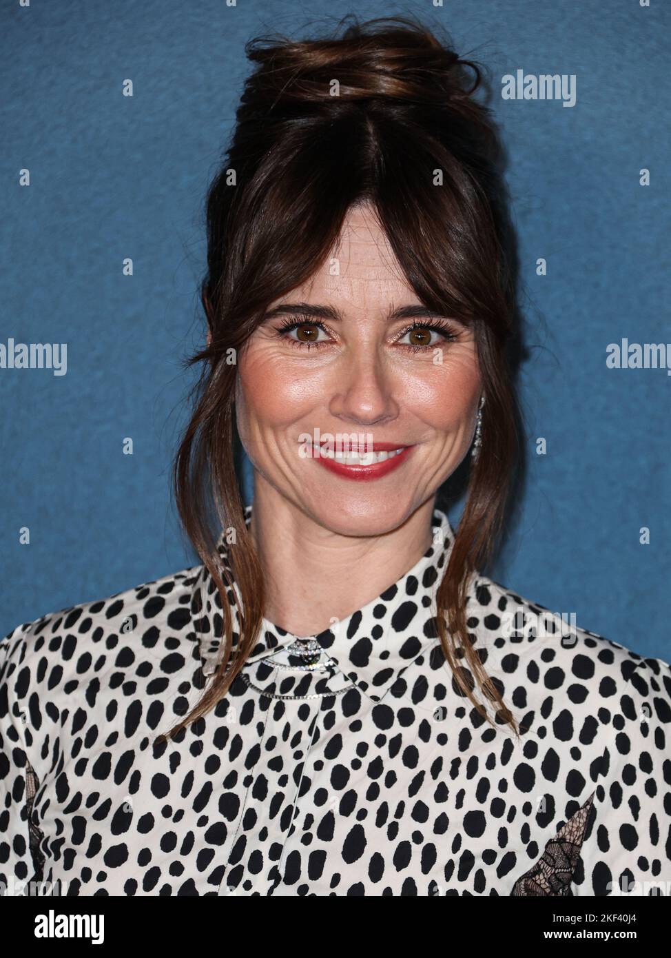 Hollywood, United States. 15th Nov, 2022. HOLLYWOOD, LOS ANGELES ...