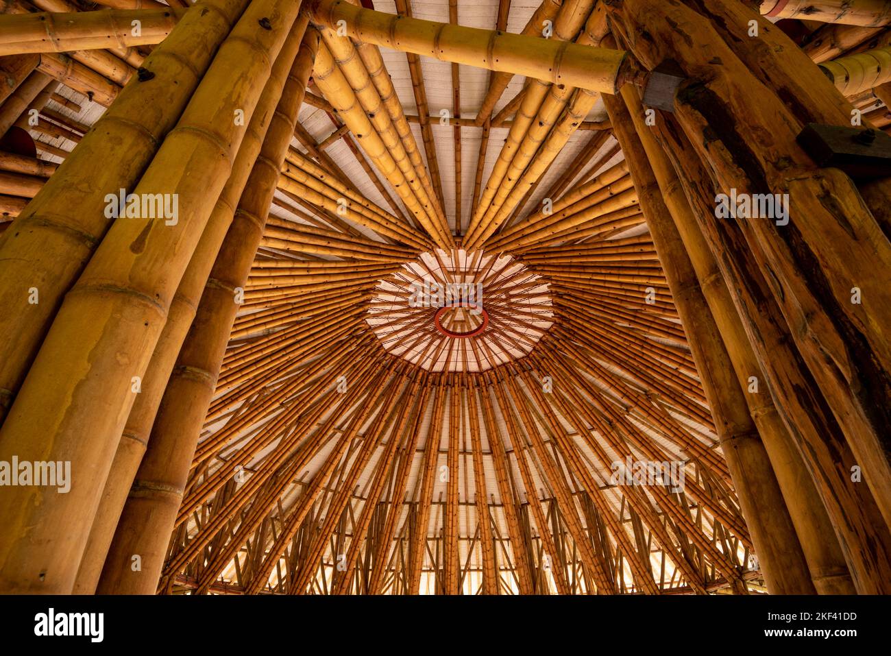 Detail of a bamboo construction in Colombia, Manizales, Caldas ...