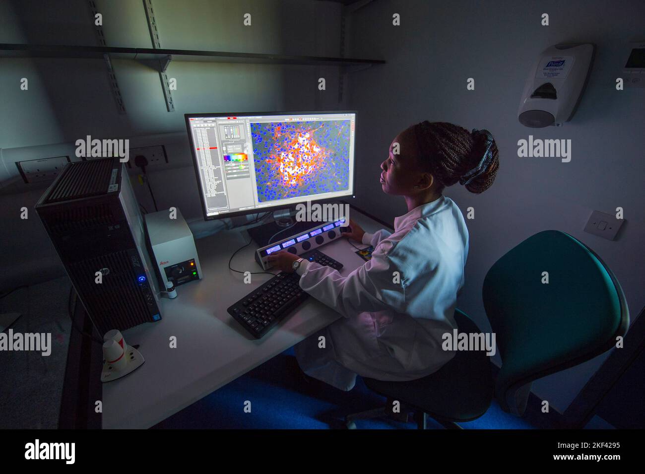 A university student using a microscope Stock Photo - Alamy