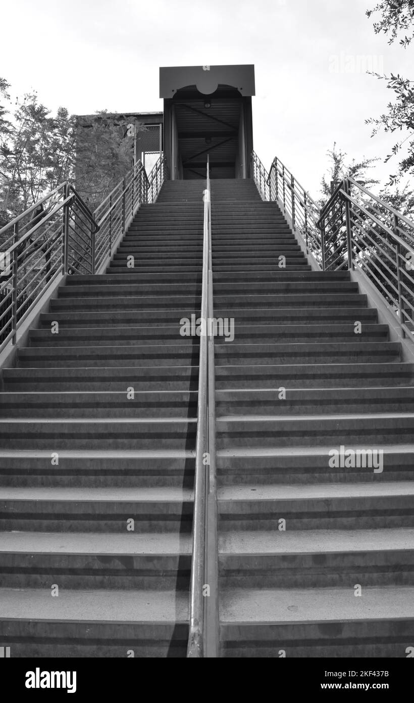 A vertical grayscale shot of stairs leading to a bridge Stock Photo - Alamy