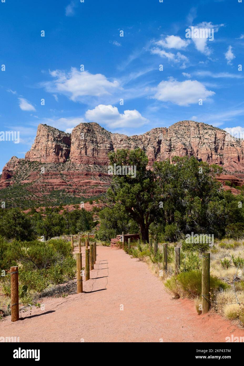A vertical shot of a pathway leading to the canyon Stock Photo - Alamy