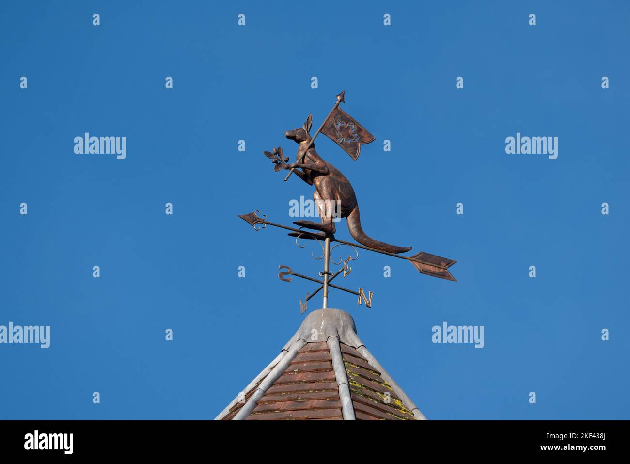Kangaroo weather wane on roof, London, England Stock Photo - Alamy