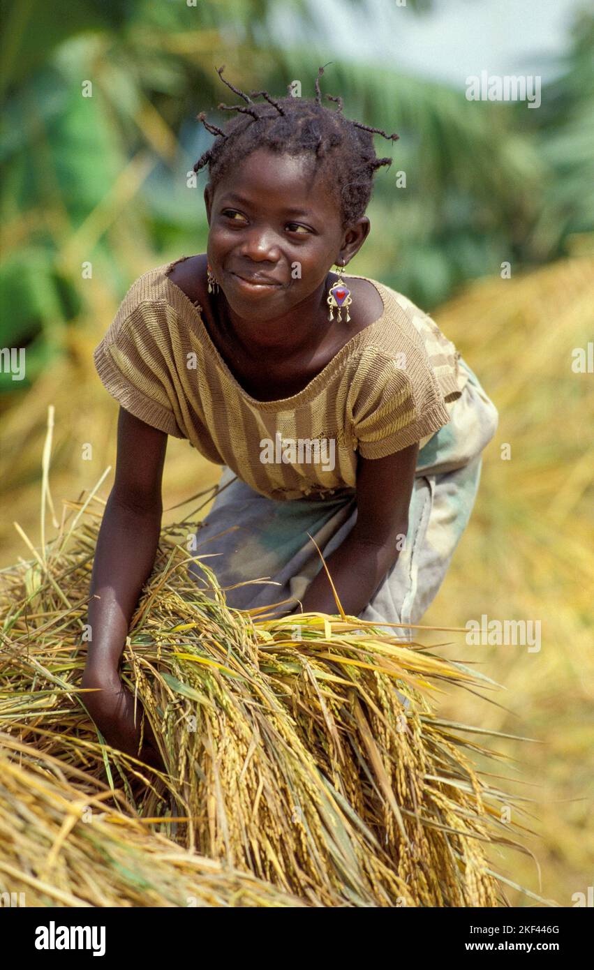 Burkina faso agriculture hi-res stock photography and images - Alamy