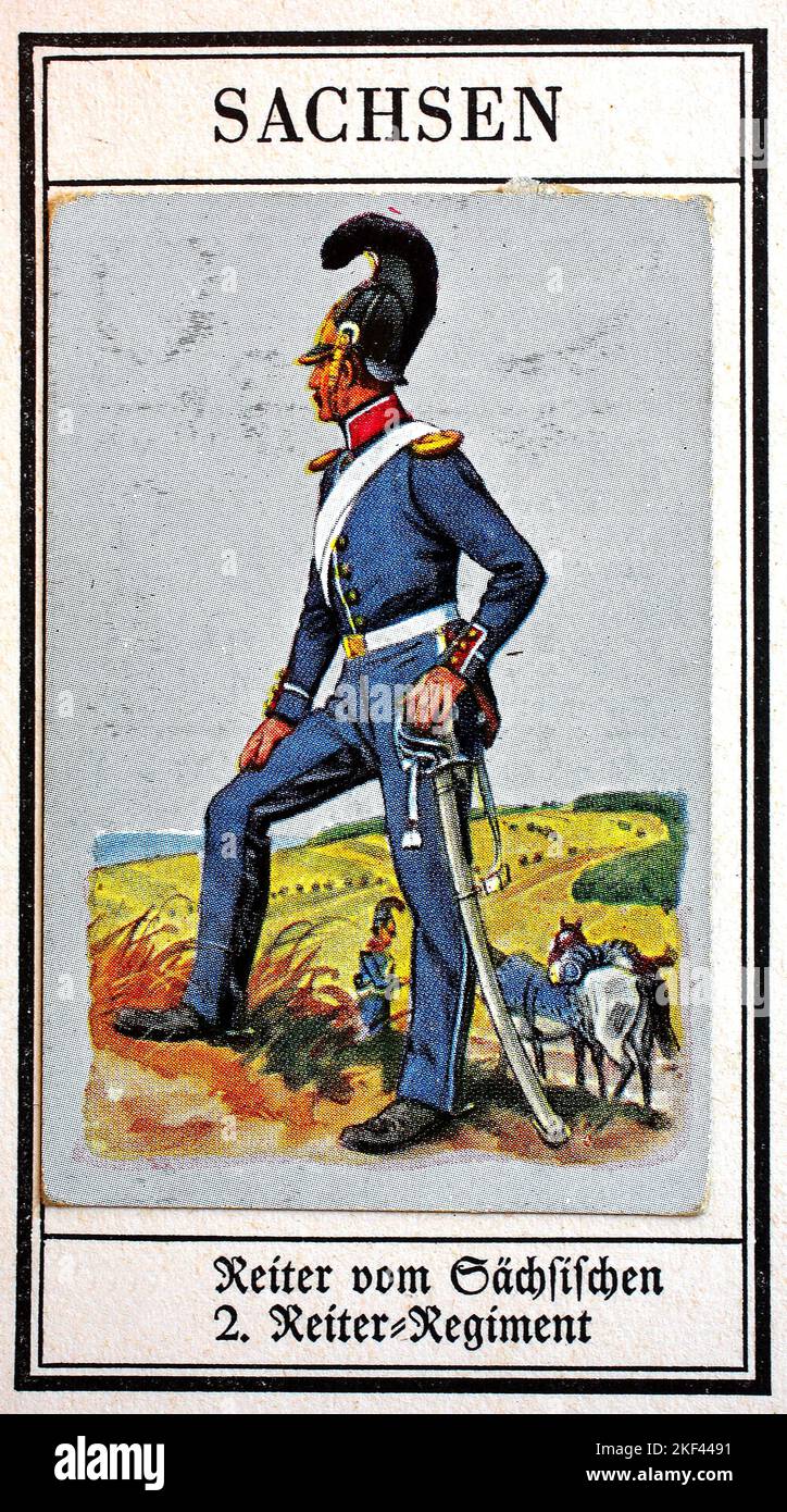 German uniforms of the 19th century, lines - cavalry: Saxony, riders ...