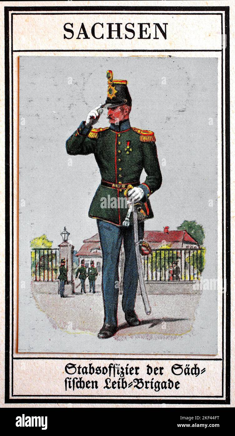 German uniforms of the 19th century, Guard - Infantry: Saxony, staff ...