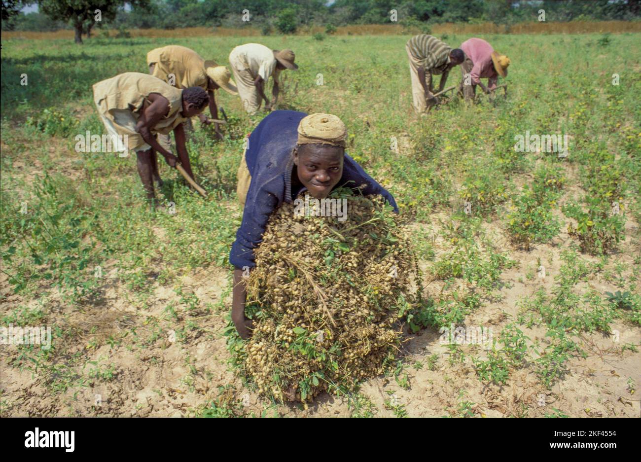 Burkina Faso, Piela region; portrait of field workers and a small boy ...