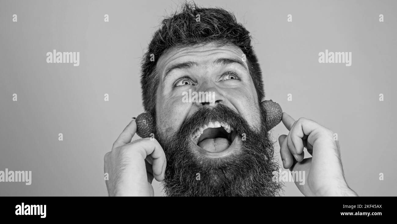 Summer hit concept. Man bearded hipster red ripe strawberry ears as ...