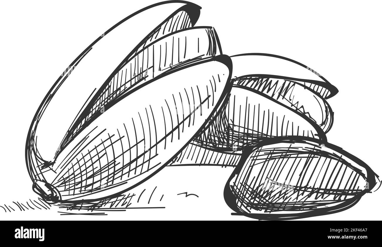 Hand drawn pistachios pile. Black nuts drawing Stock Vector Image & Art ...