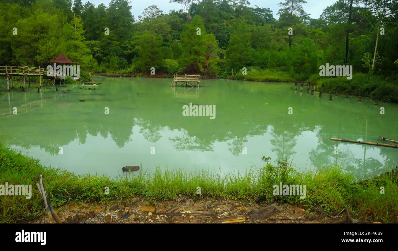 hot water lake with green trees Stock Photo - Alamy