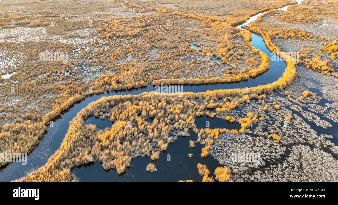 Aerial photo shows the scenery of the reed in Bosten Lake Wetland, Bohu ...