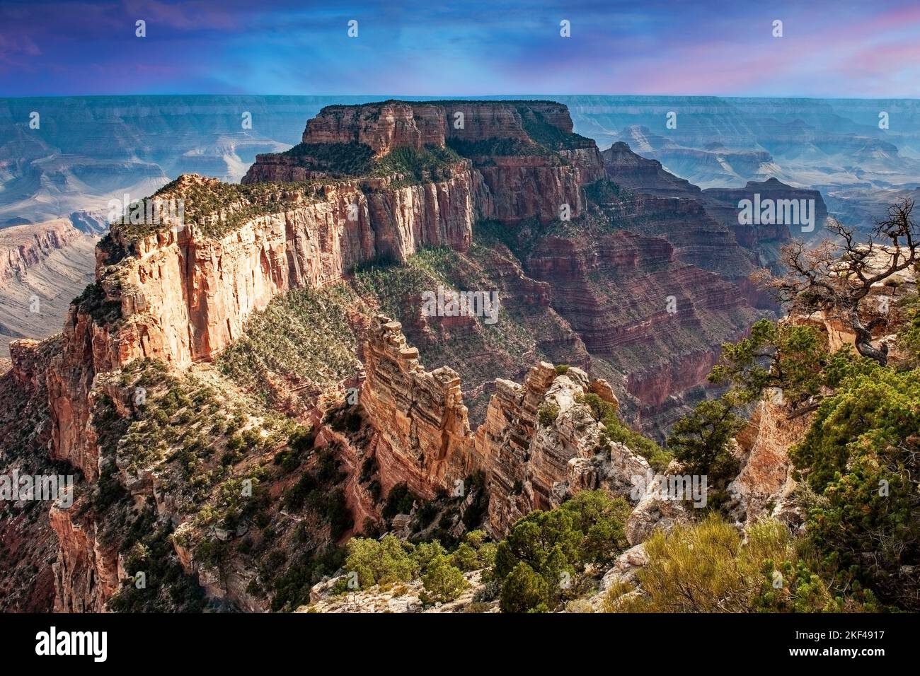 Grand Canyon North Rim, Nordrand, im Abendlicht, Cape Royal, Arizona ...