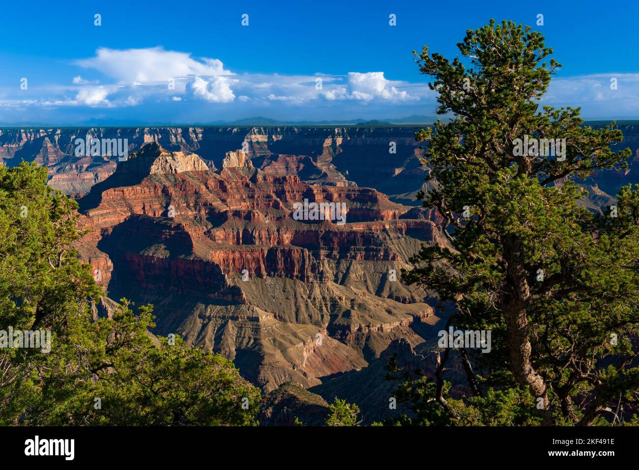 Sonnenuntergang am Bright Angel Point, Grand Canyon, North Rim ...