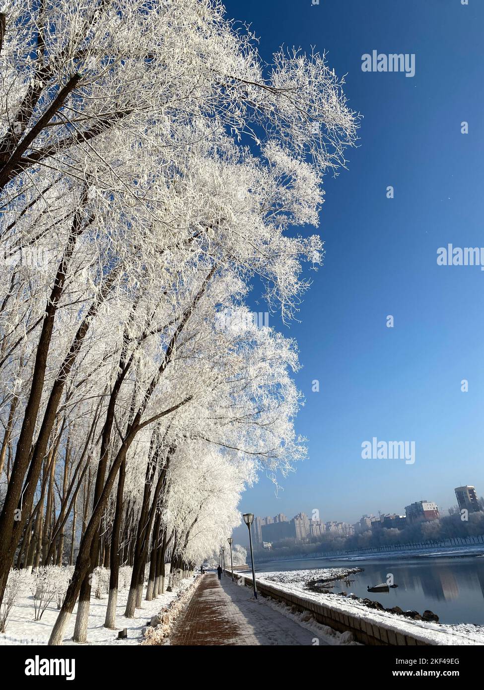 The exquisite rime scenery showson the banks of the Yitong River in ...