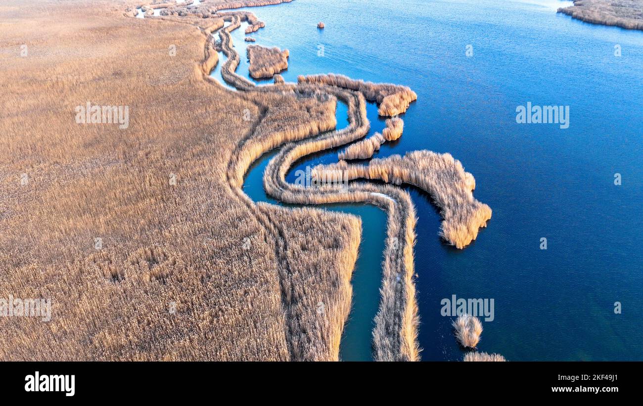 Aerial photo shows the scenery of the reed in Bosten Lake Wetland, Bohu ...
