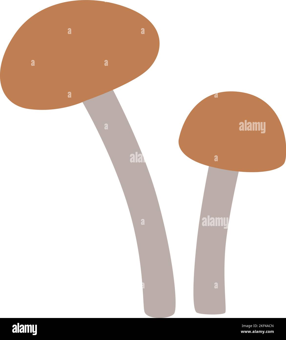 Fungus icon. Forest mushroom symbol. Autumn season sign Stock Vector ...