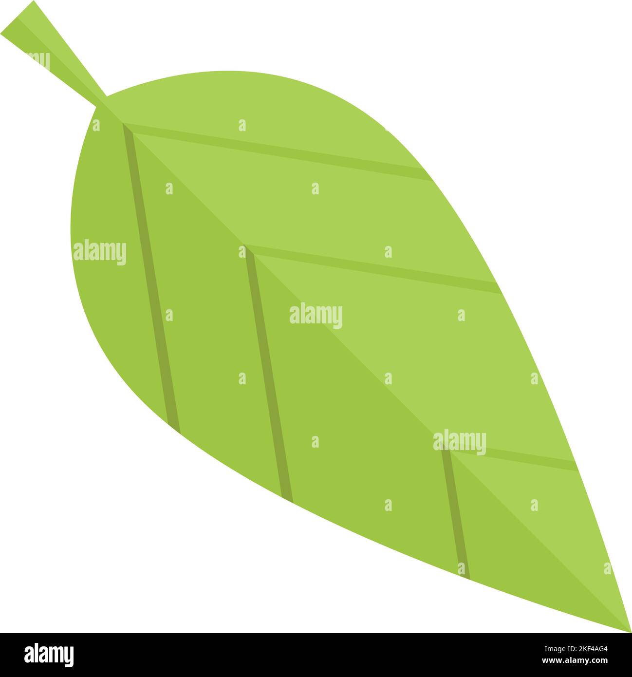 Green leaf icon. Natural spring plant symbol Stock Vector Image & Art ...