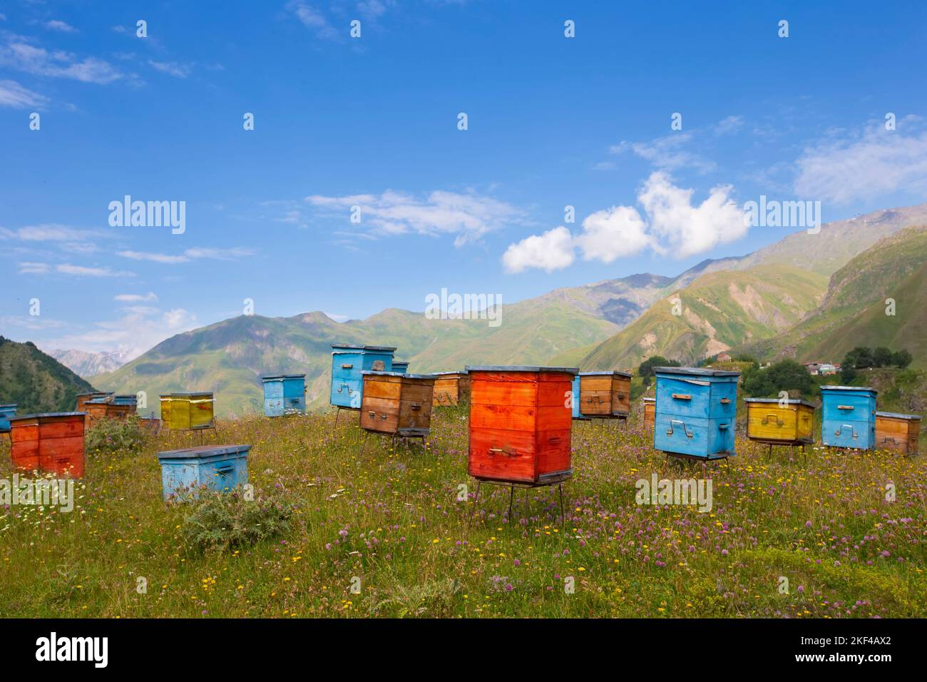 Wooden beehives against the backdrop of mountains. Beehives in a ...