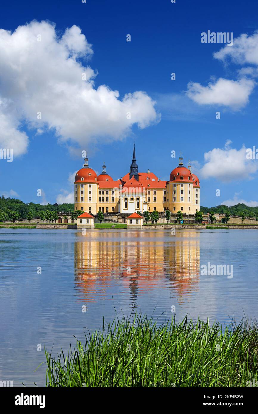 Schloss Moritzburg, Barockschloss, Moritzburg, Sachsen Stock Photo - Alamy