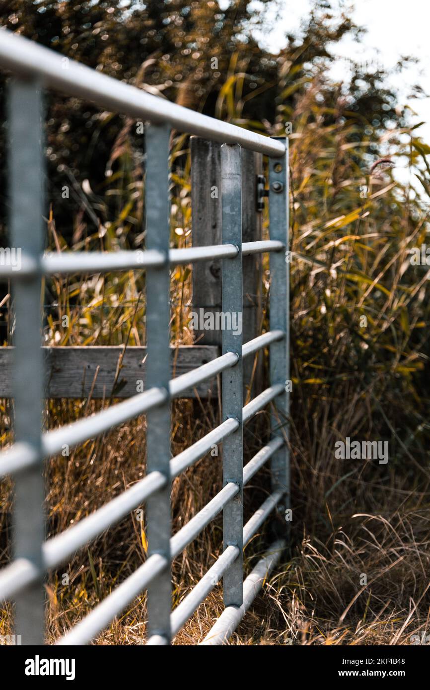 Leading Lines Metal Farmers Gate Stock Photo - Alamy