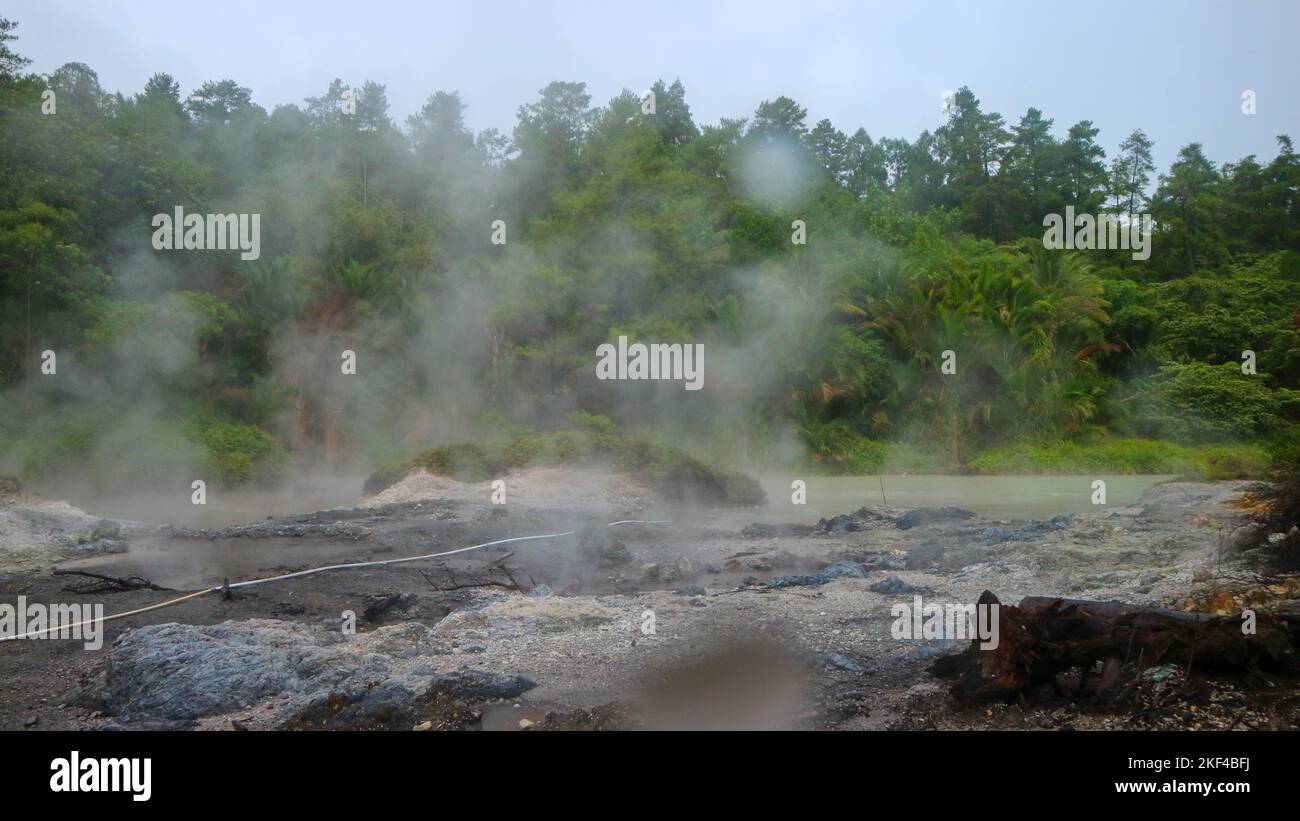 hot water lake with green trees Stock Photo - Alamy