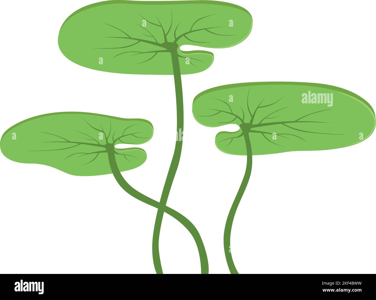 Green underwater plant icon. Cartoon marine flora Stock Vector Image ...