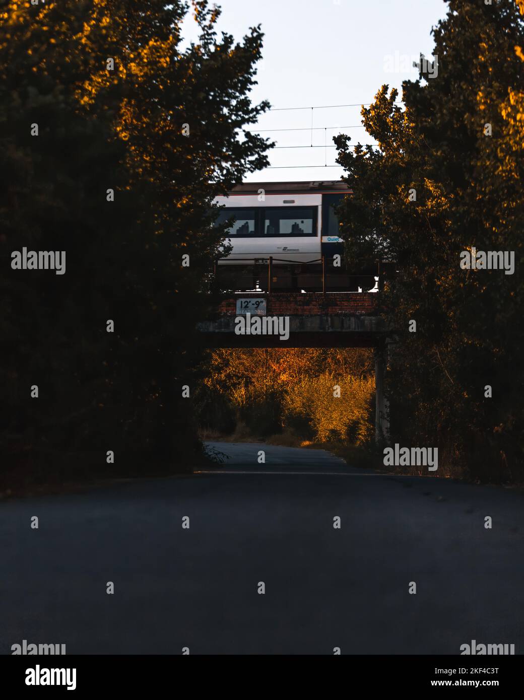 Train Crossing between the Trees on a Small Bridge down a Small Lane ...