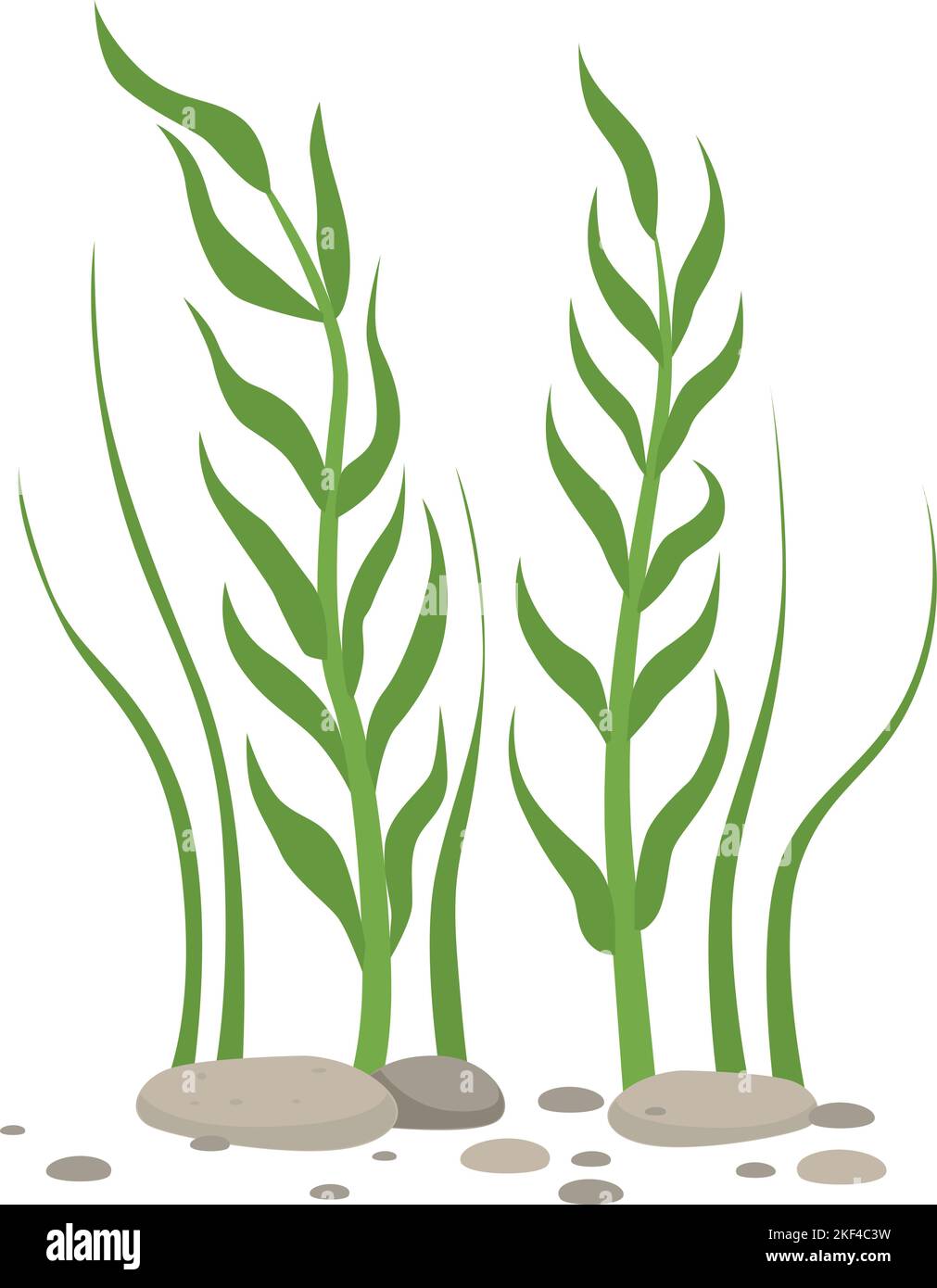 Underwater seaweed icon. Cartoon marine green algae Stock Vector Image ...