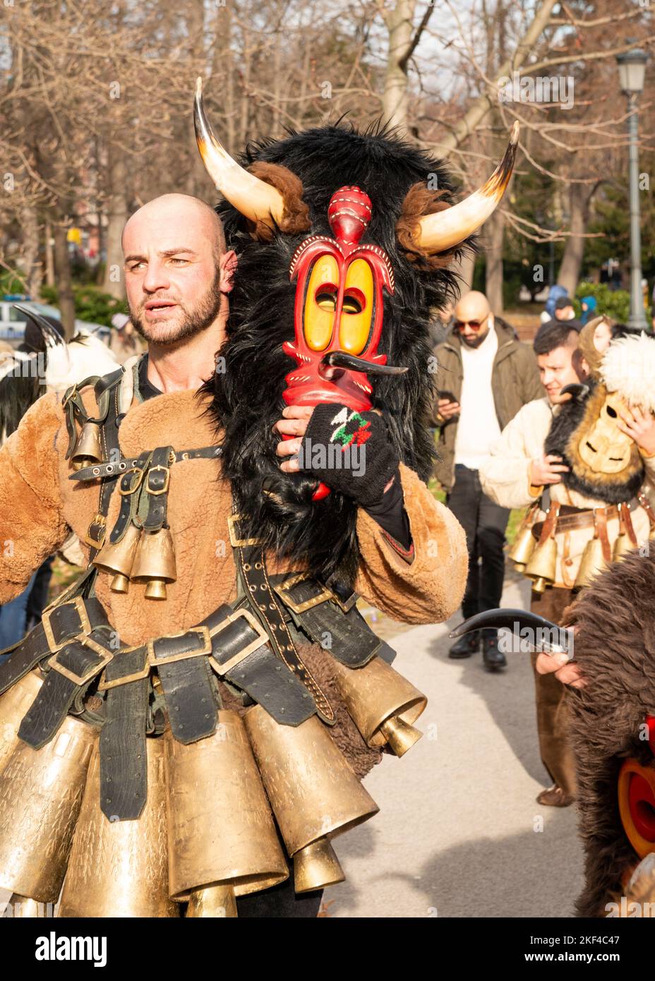 Male Kukeri dancer carrying his large mask at the traditional annual ...