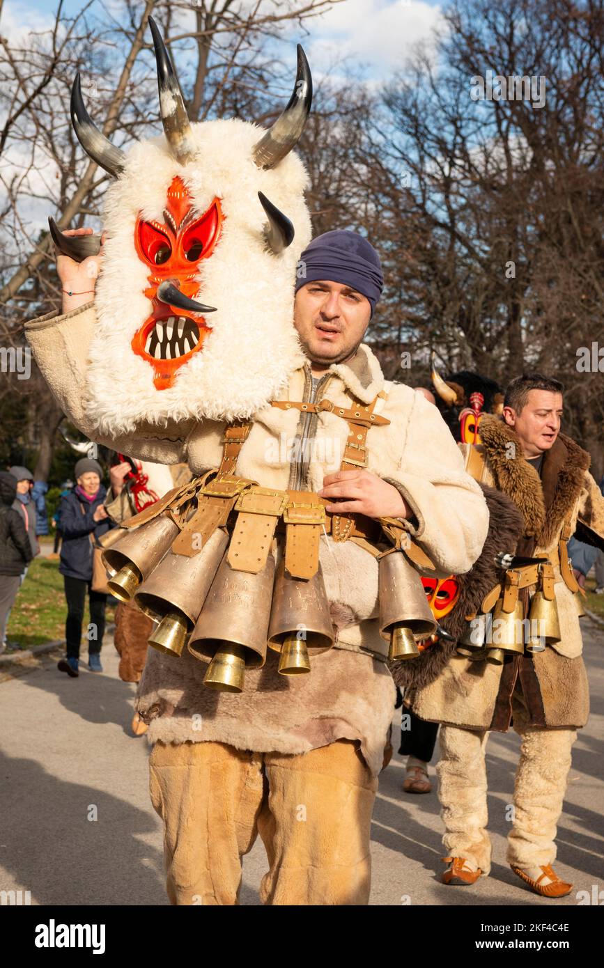 Male Kukeri dancer carrying his large mask at the traditional annual ...