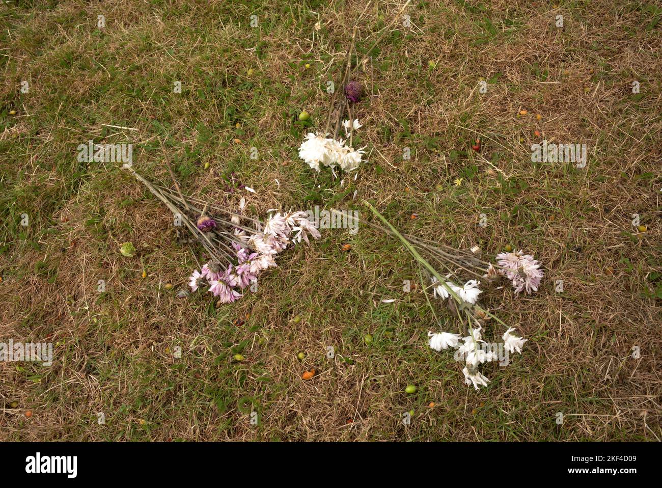 bunch of flowers thrown away on grass Stock Photo - Alamy