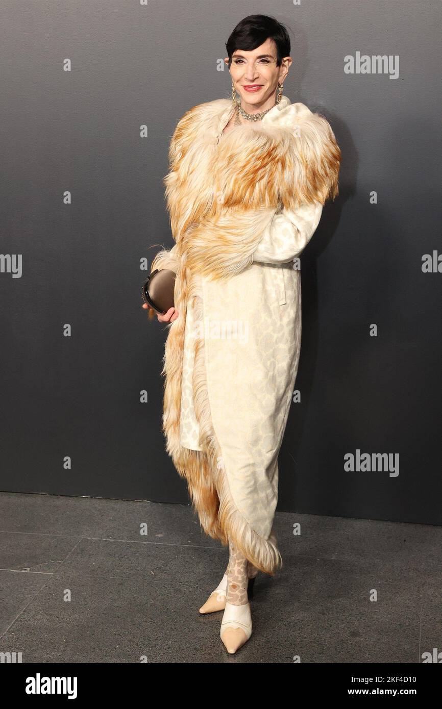 Amy fine collins opening night hi-res stock photography and images - Alamy