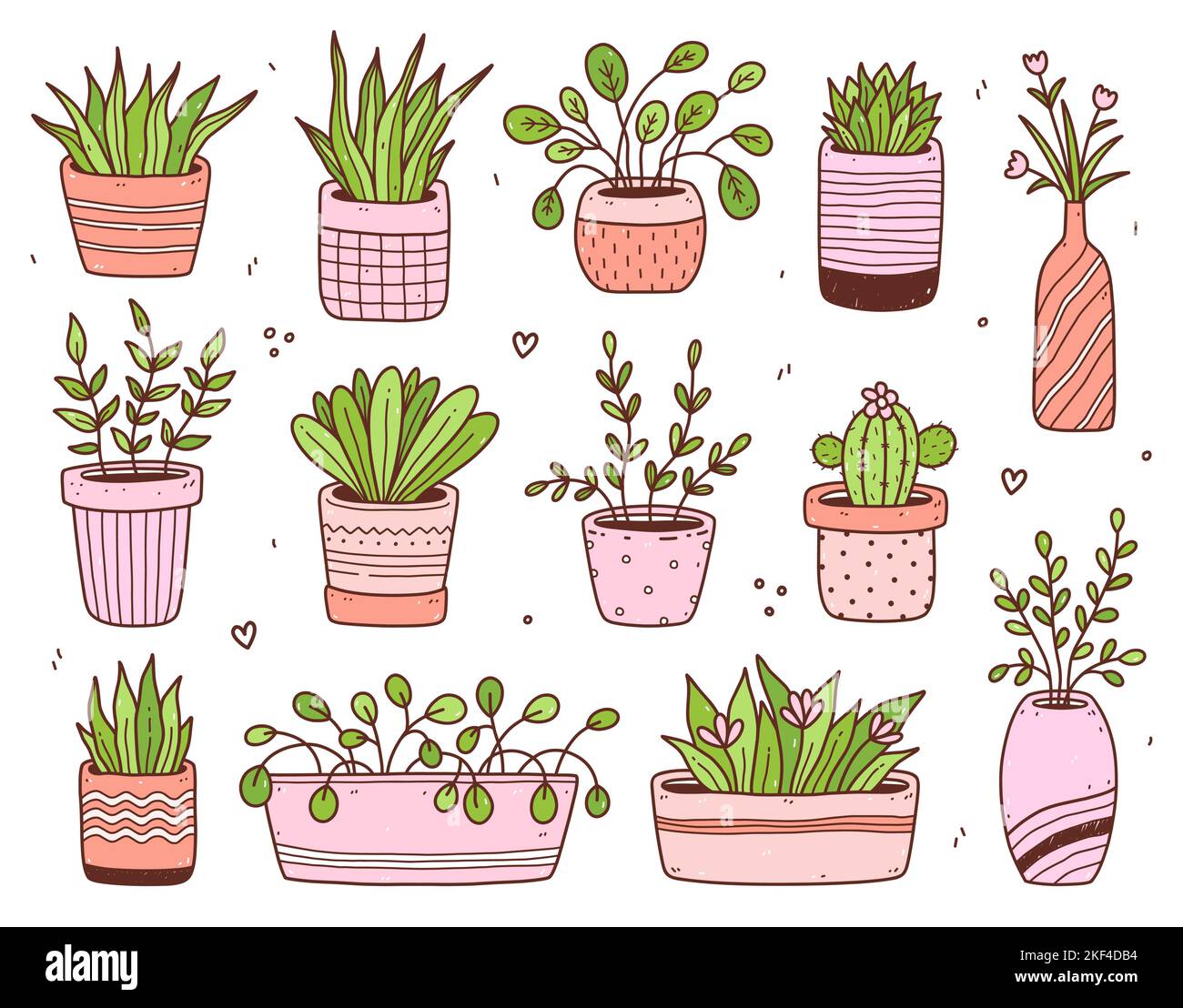 Set of cute houseplants in flower pots isolated on white background ...