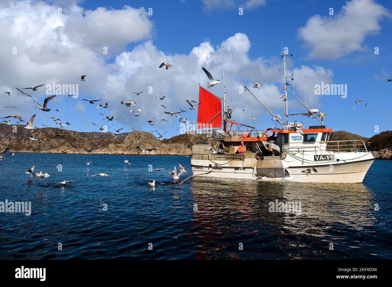 Fisch fischerboot hi-res stock photography and images - Alamy