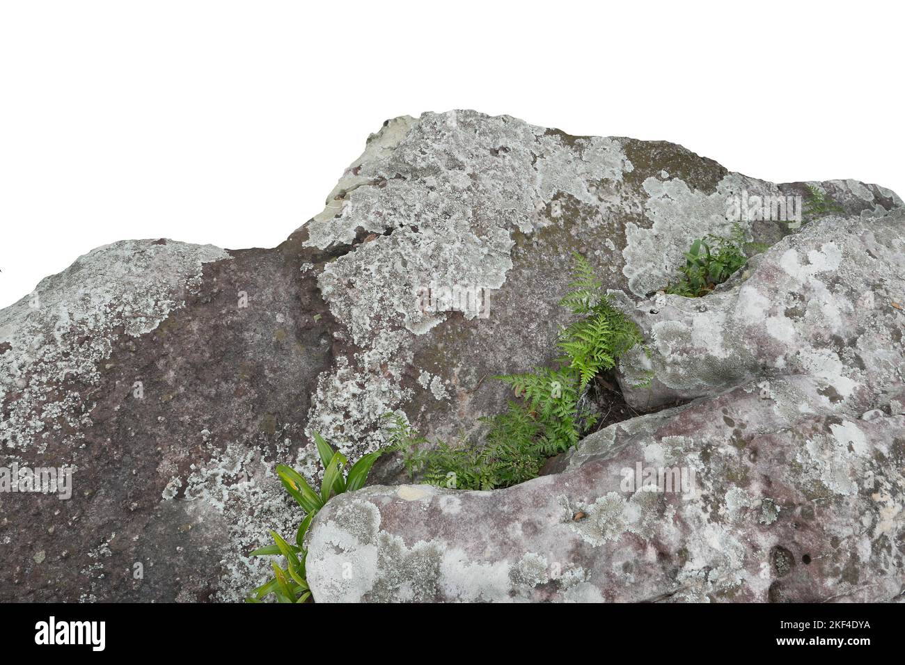 rock isolated on white background Stock Photo - Alamy
