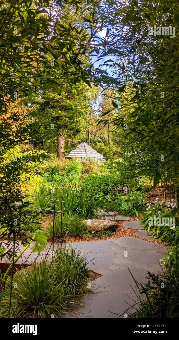 A vertical of a pathway through the trees in the Royal Botanic Gardens ...
