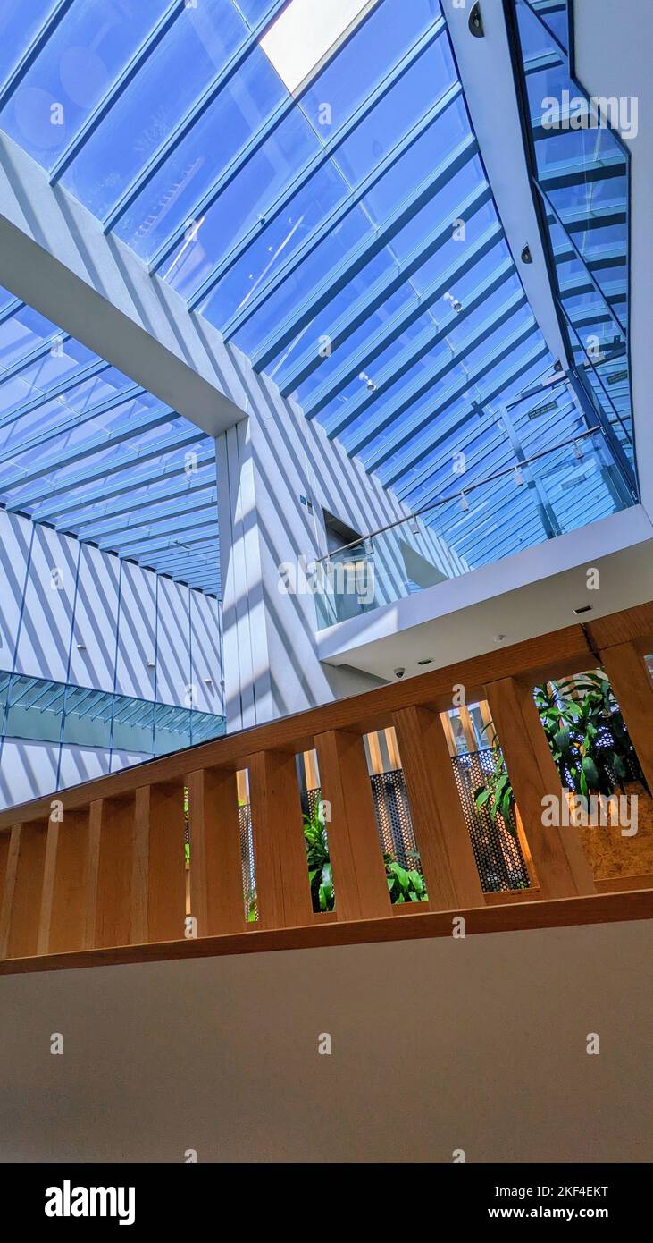 A vertical of the sun seeping through the glass at Victoria University ...