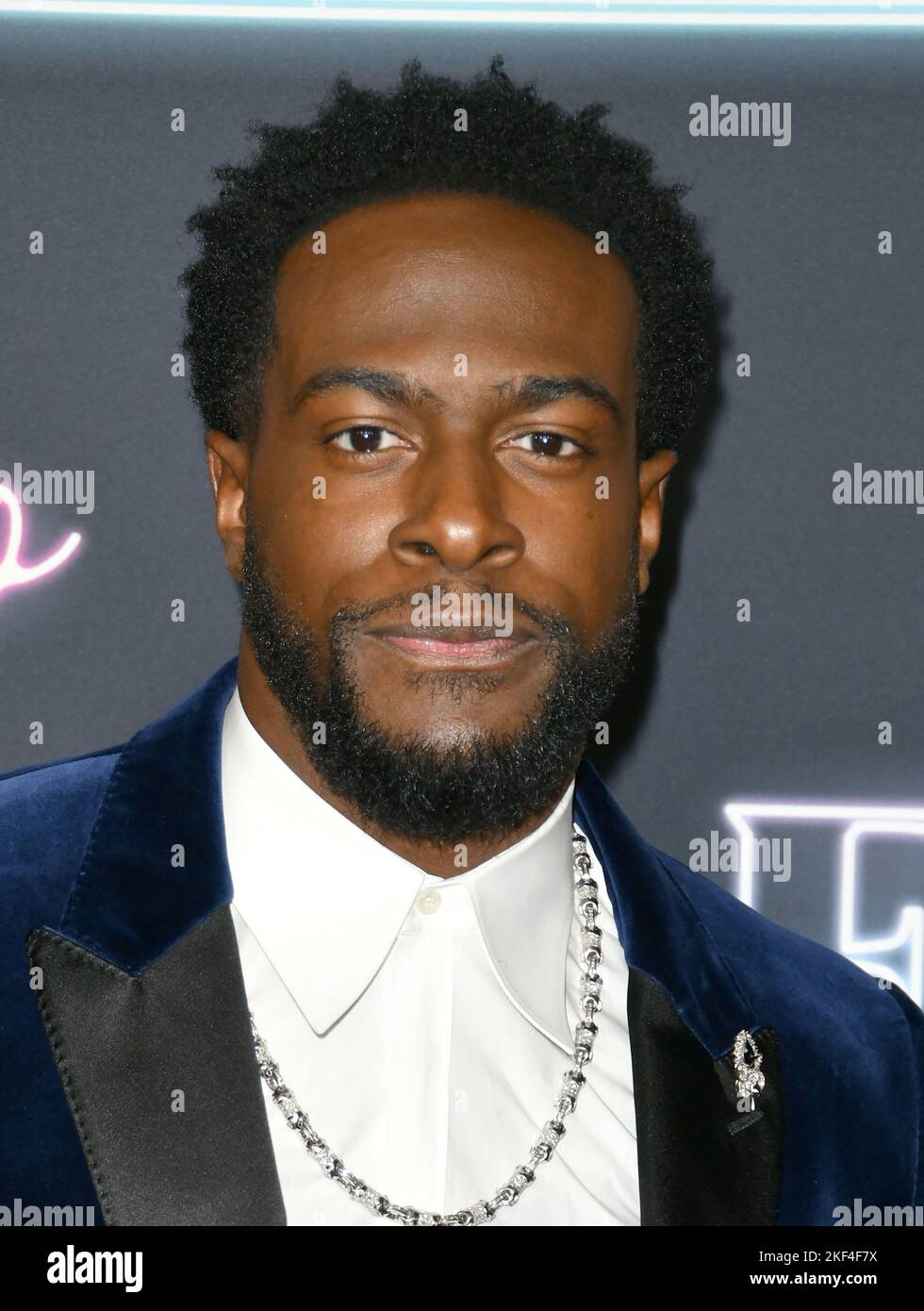 Los Angeles Premiere Of Hulu`s `Welcome To Chippendales, Pacific Design ...