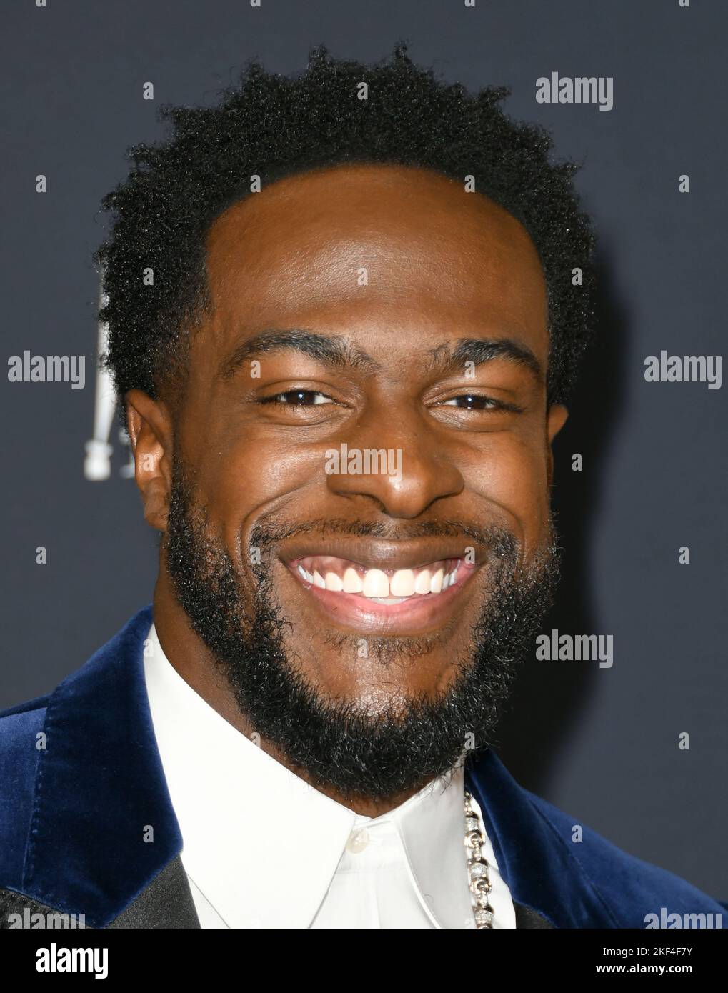 Los Angeles Premiere Of Hulu`s `Welcome To Chippendales, Pacific Design ...