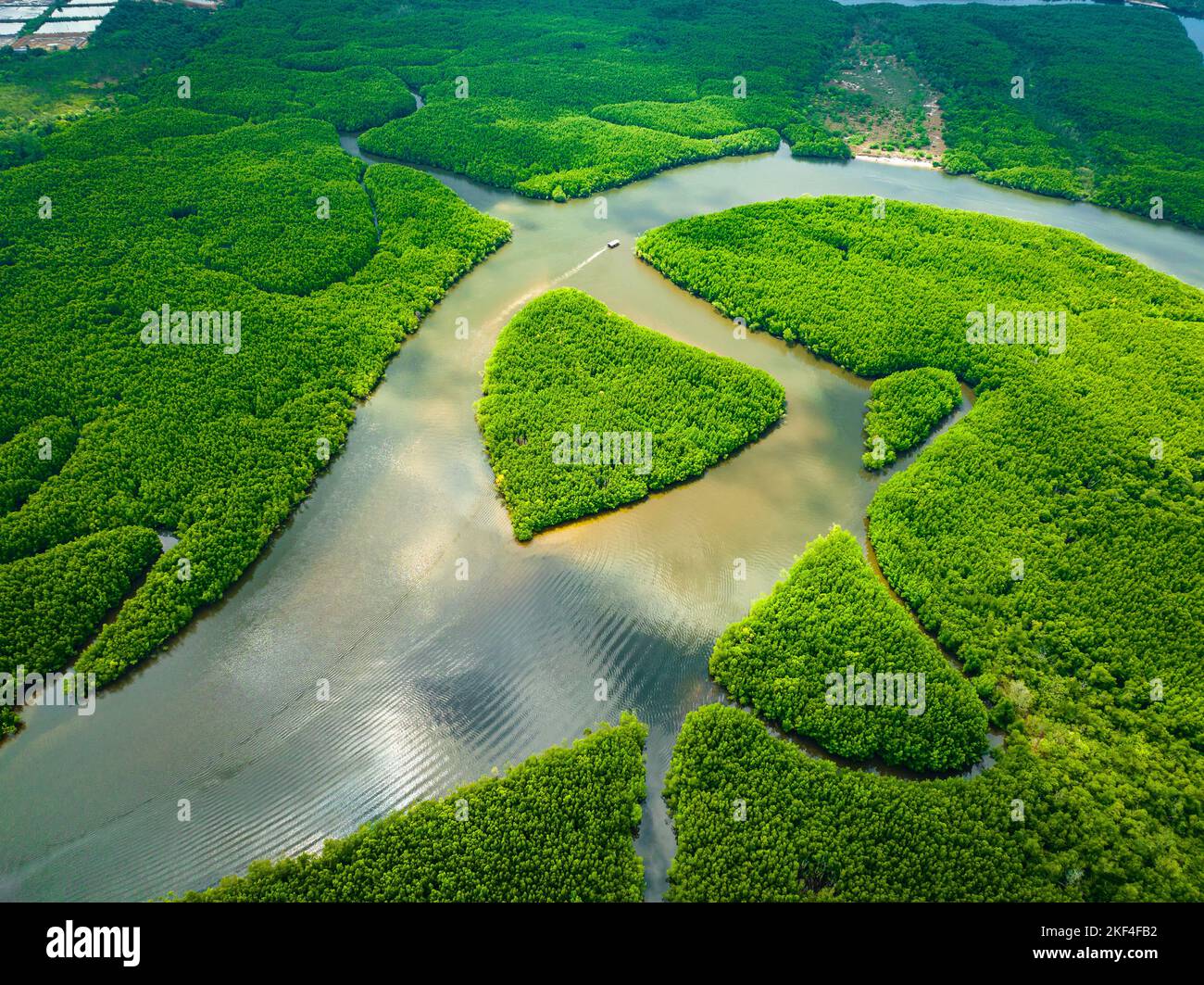 Aerial view heart island mangrove hi-res stock photography and images ...