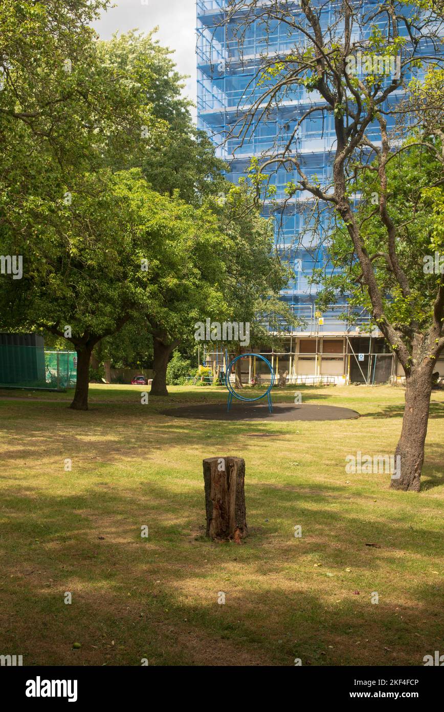 tree stump, lewisham, london Stock Photo - Alamy