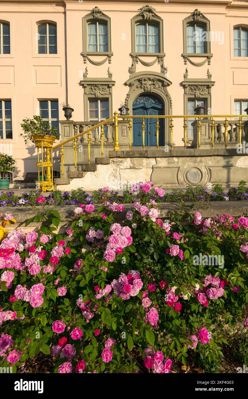 castle and park, Branitz, Cottbus, Germany Stock Photo - Alamy