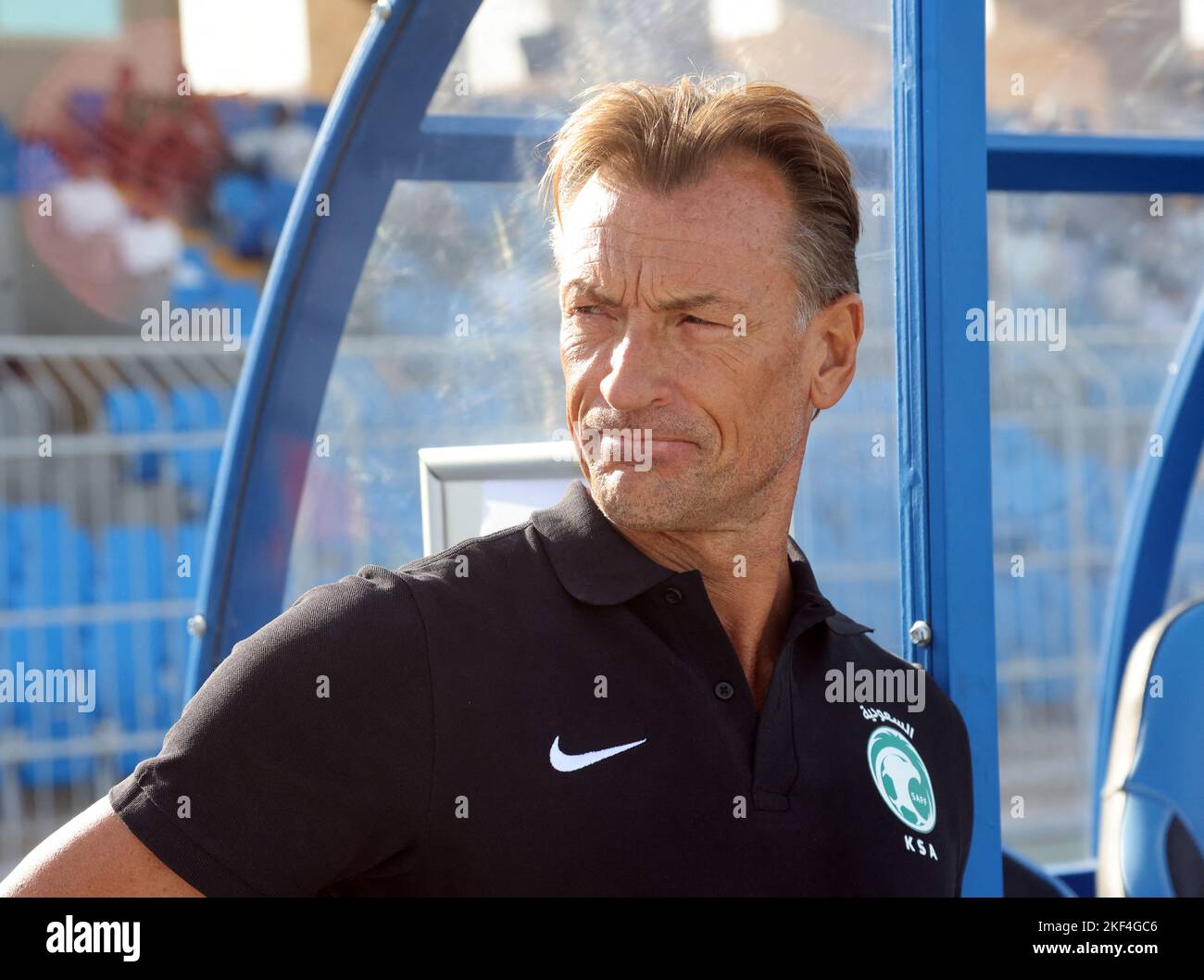 Herve renard saudi hi-res stock photography and images - Alamy