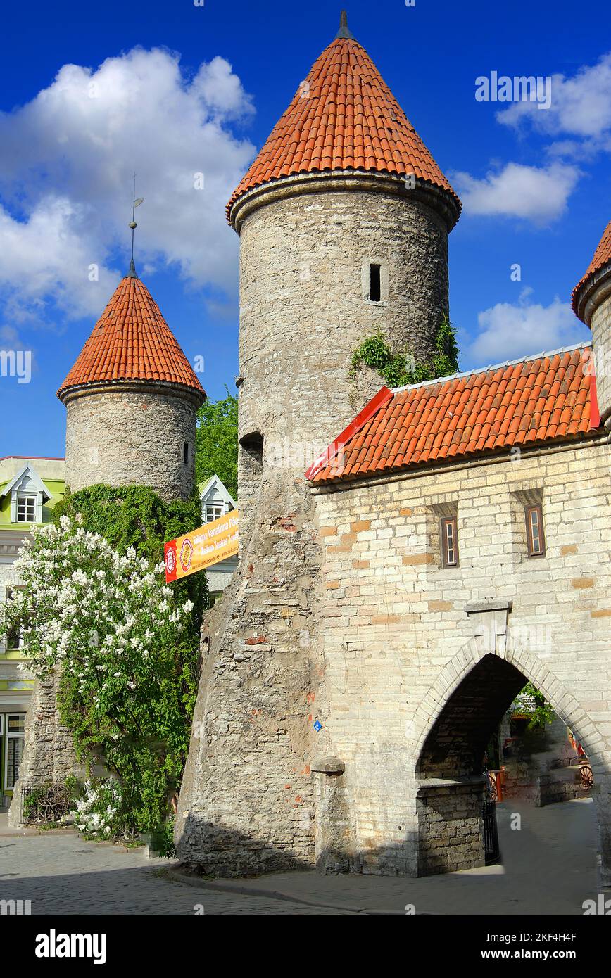 Historische Wallbefestigung in Tallin, Estland, Schutzwall, Mauer ...