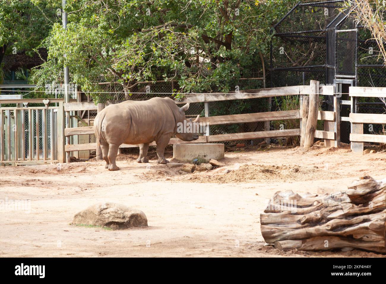 Australian zoo keeper hi-res stock photography and images - Alamy