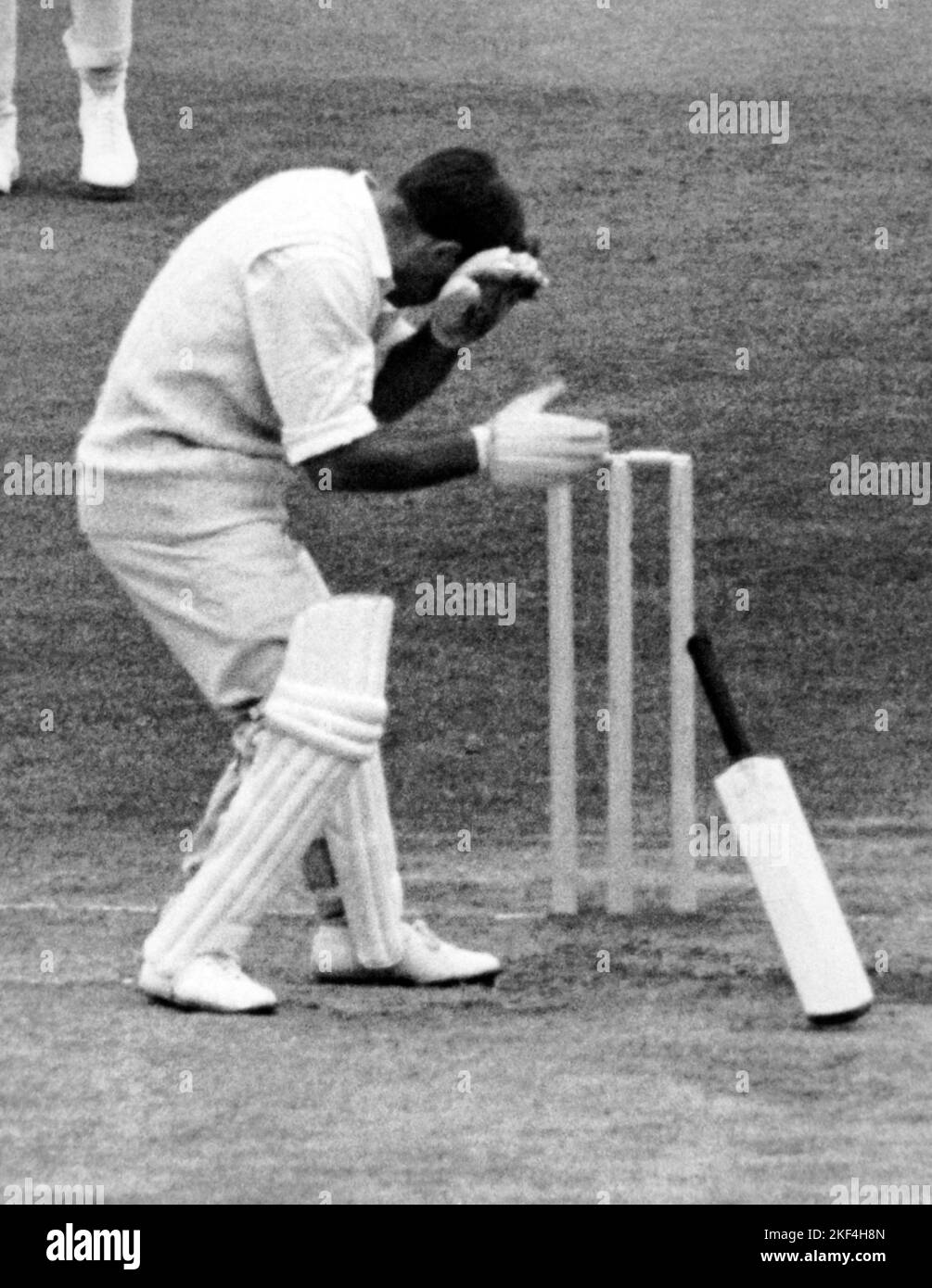 John Edrich (England) drops his bat and grasps his face as he is struck ...