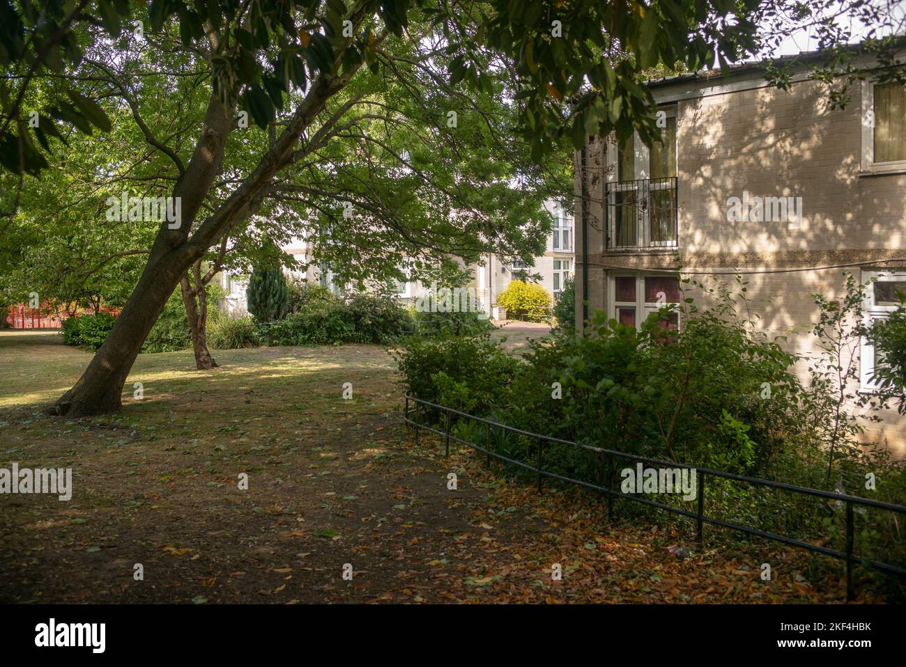trees and communal space on lewisham council estate Stock Photo - Alamy