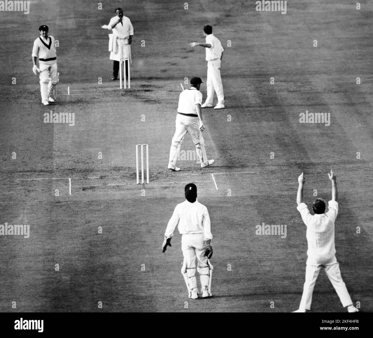 Paul Sheahan (Australia) is caught by Alan Knott Stock Photo - Alamy