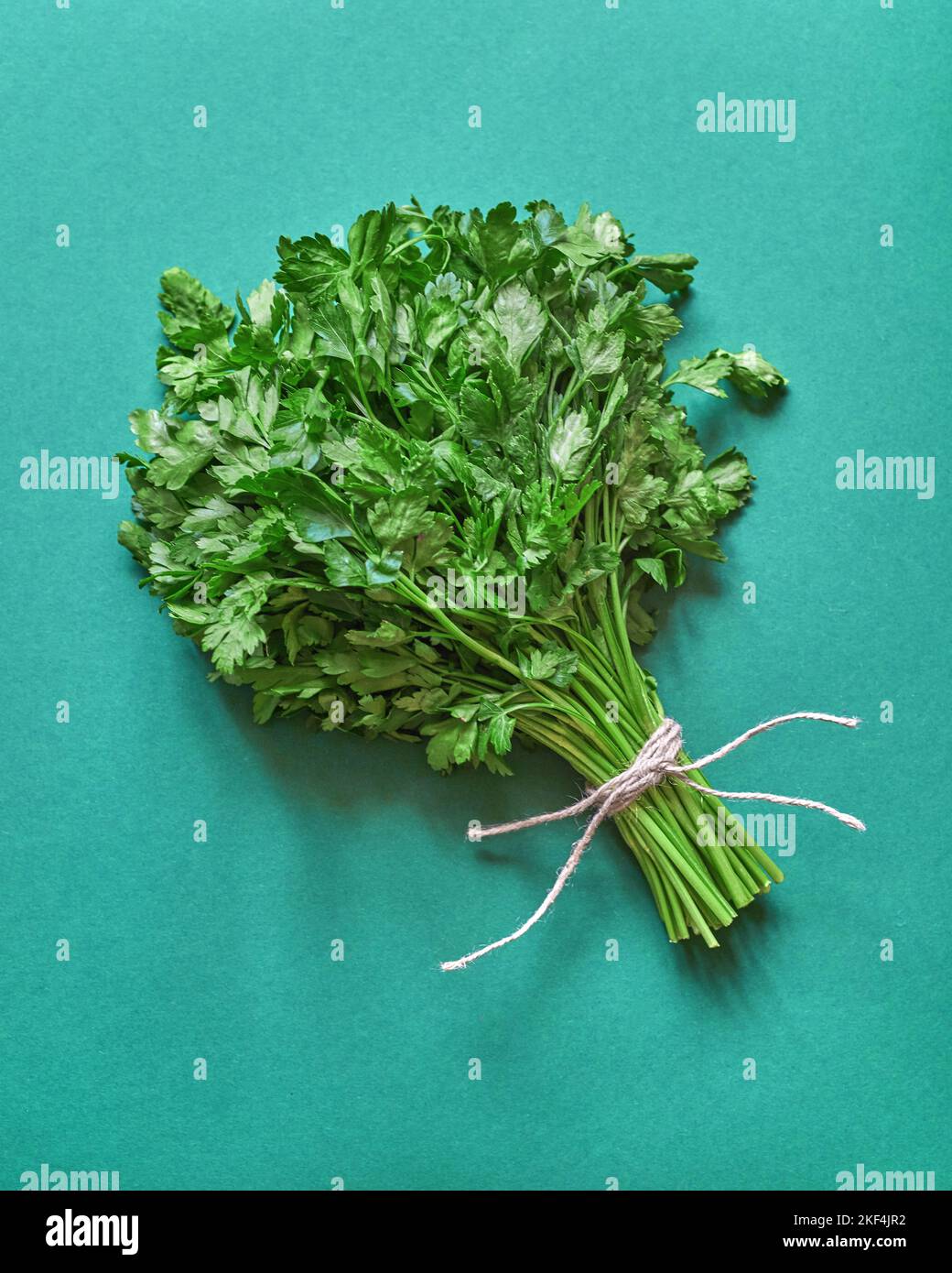 The bundle of fresh green parsley laying on solid green background. Top ...